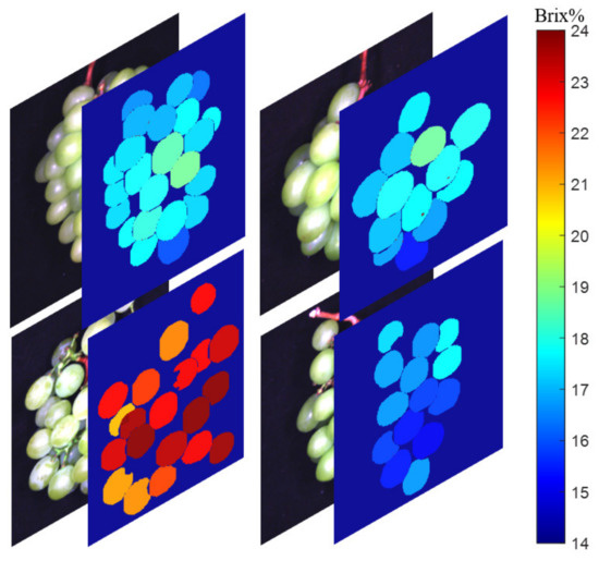 Research on an Improved Non-Destructive Detection Method for the Soluble Solids Content in Bunch ...