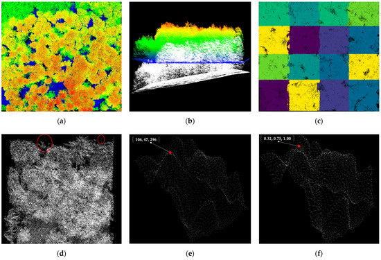 Applied Sciences | Free Full-Text | Towards Intricate Stand Structure ...
