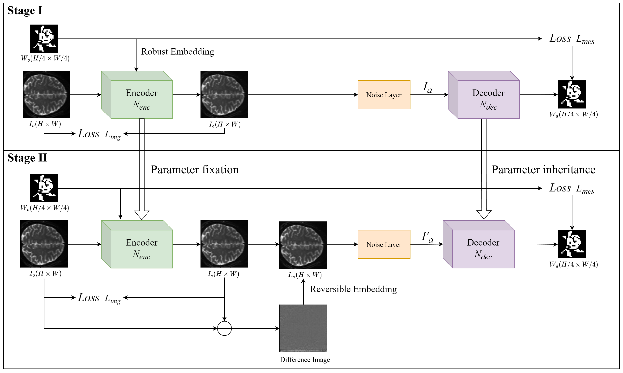 Two-Stage Robust Lossless DWI Watermarking Based on Transformer Networks in the Wavelet Domain