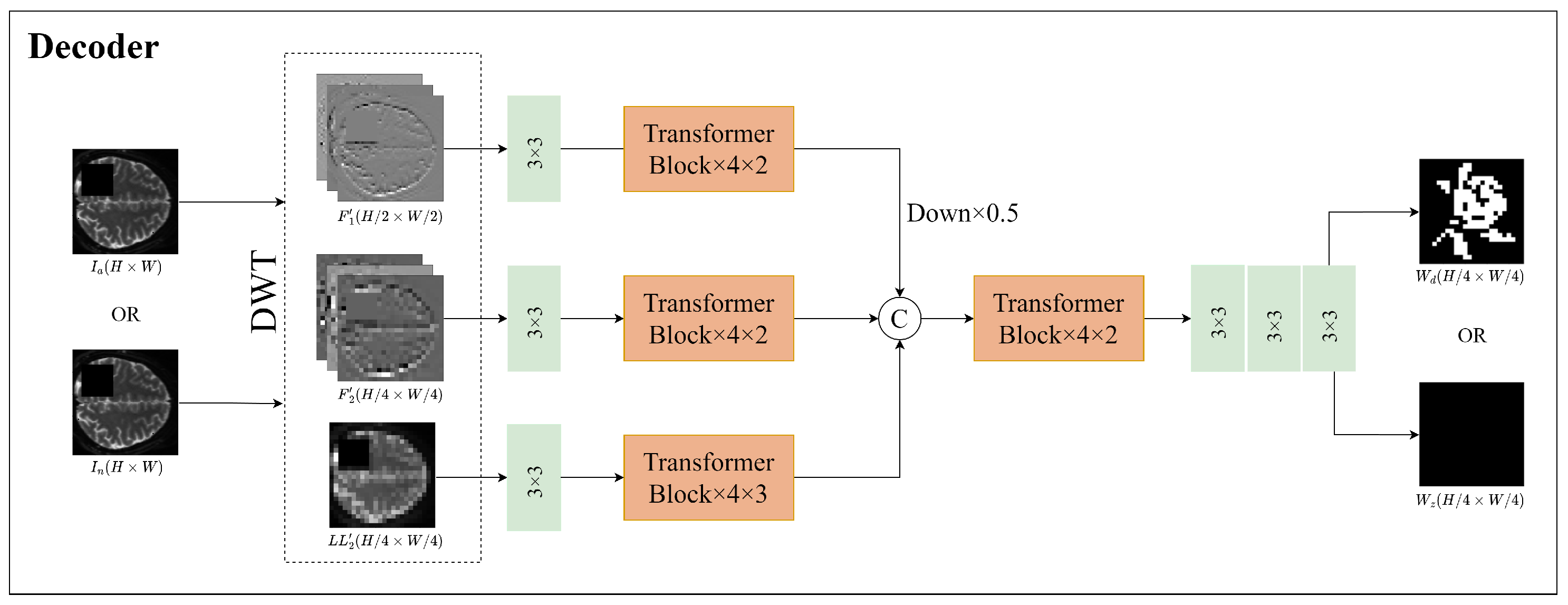 Two-Stage Robust Lossless DWI Watermarking Based on Transformer ...