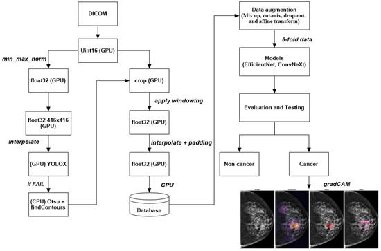 Region-of-Interest Optimization for Deep-Learning-Based Breast Cancer ...