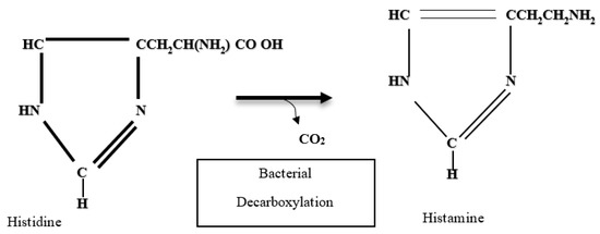 A Review on Food Safety: The Case of Citrobacter sp., Fish and Fish ...