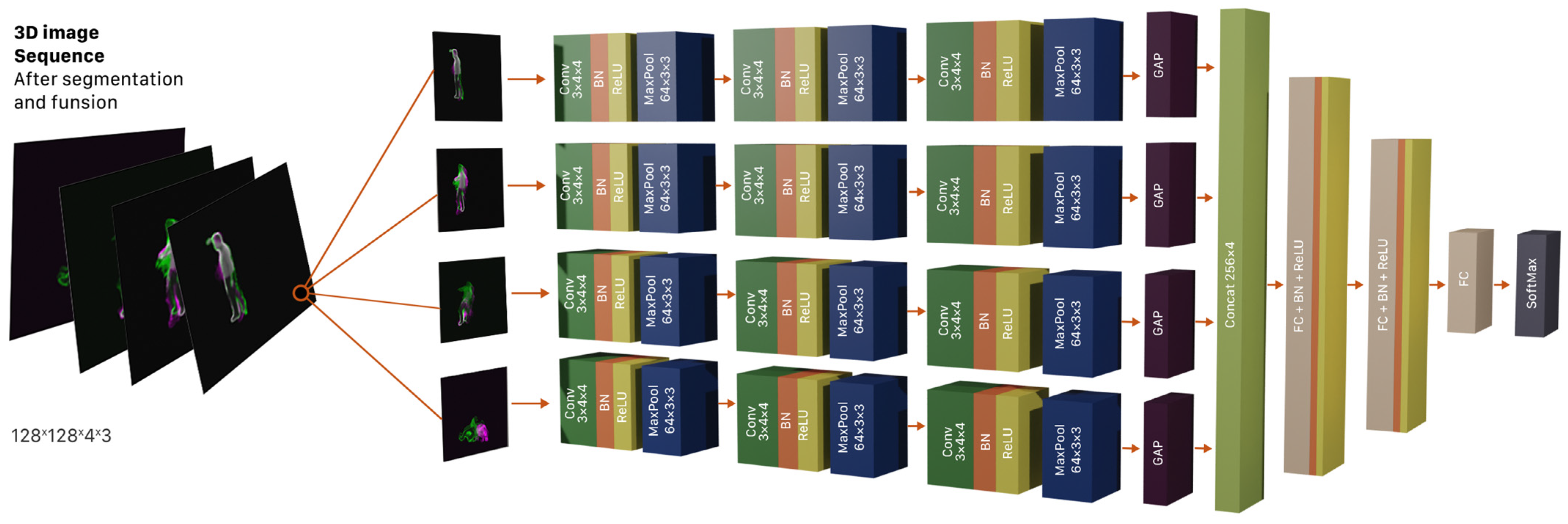 Applied Sciences | Free Full-Text | A Robust and Automated Vision-Based ...