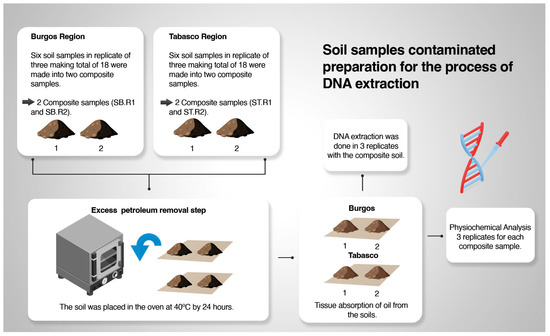 Assessment of the Microbial Communities in Soil Contaminated with ...