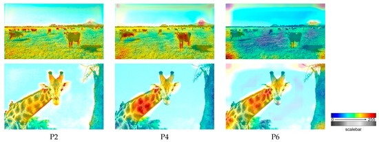 Applied Sciences | Free Full-Text | DMA-Net: Decoupled Multi-Scale Attention for Few-Shot Object ...