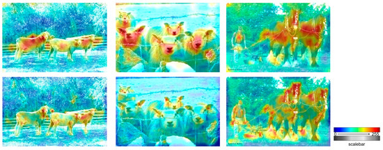 Applied Sciences | Free Full-Text | DMA-Net: Decoupled Multi-Scale Attention for Few-Shot Object ...