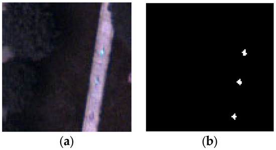 Hyperspectral Anomaly Detection Based on Multi-Feature Joint Trilateral ...
