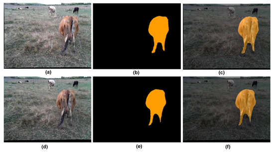Determination of the Live Weight of Farm Animals with Deep Learning and ...