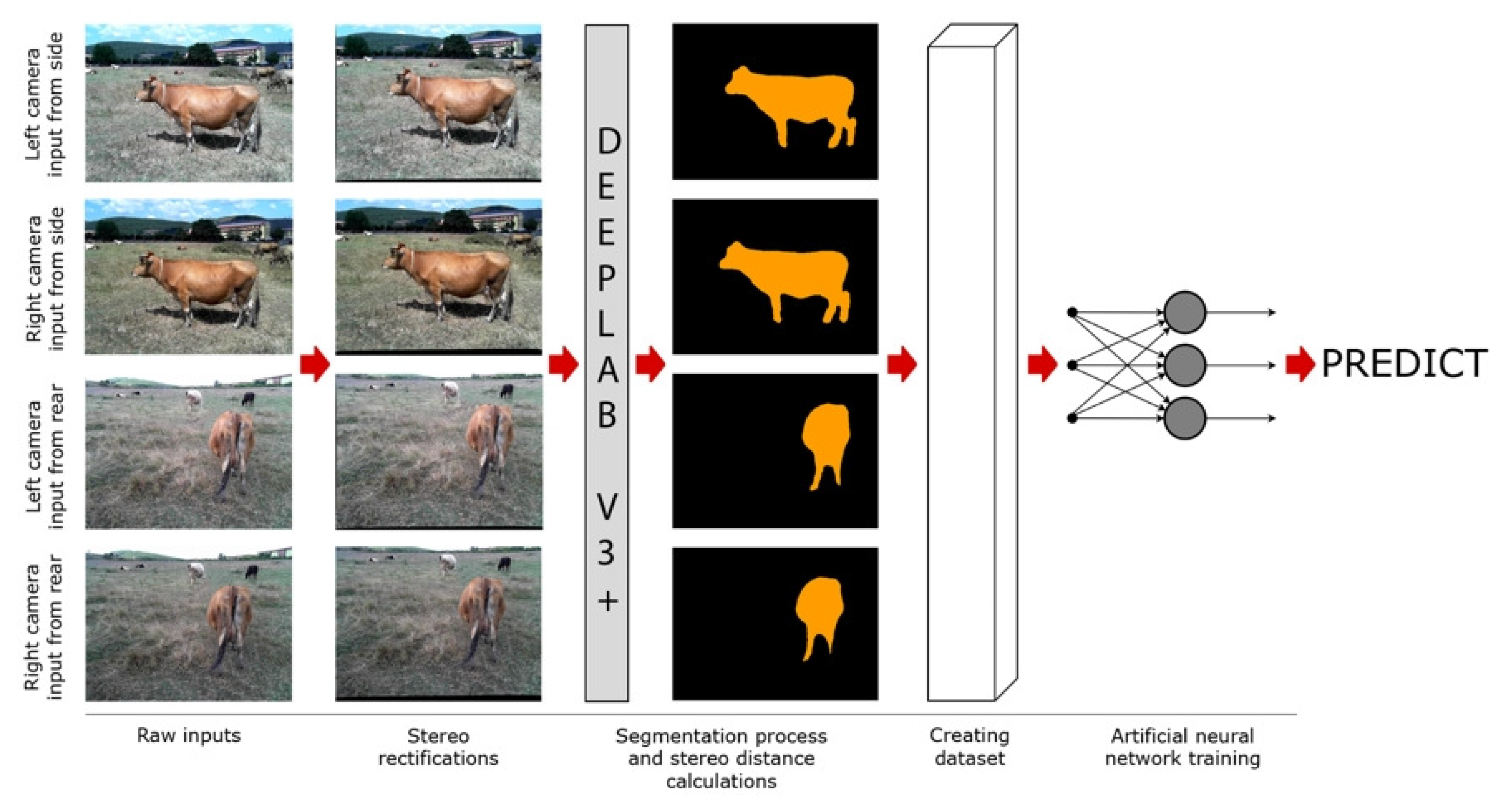 Determination of the Live Weight of Farm Animals with Deep Learning and Semantic Segmentation ...