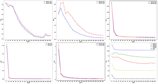 Instance Segmentation of Shrimp Based on Contrastive Learning