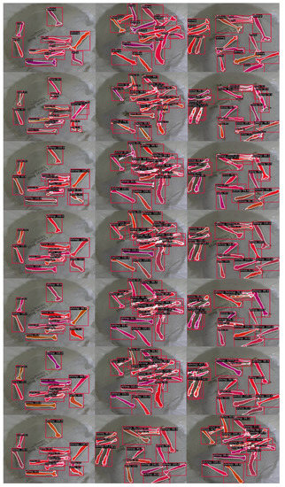 Instance Segmentation of Shrimp Based on Contrastive Learning