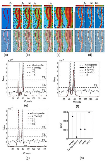Image-Based Crack Detection Using Total Variation Strain DVC Regularization