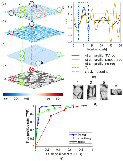 Image-Based Crack Detection Using Total Variation Strain DVC Regularization