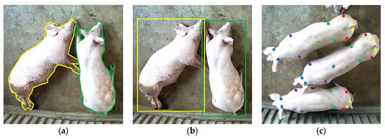 A Review of Posture Detection Methods for Pigs Using Deep Learning