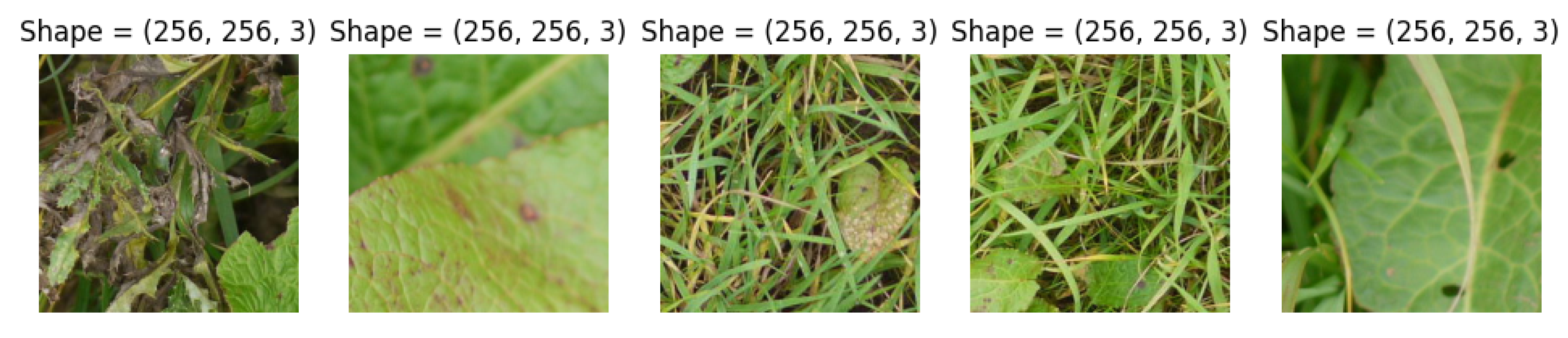 A Metaheuristic Harris Hawks Optimization Algorithm for Weed Detection ...