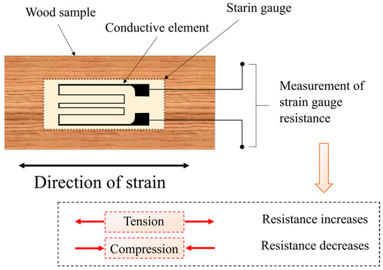 Heat and Moisture Induced Stress and Strain in Wooden Artefacts and ...