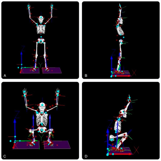 Three-Dimensional Kinematics and Kinetics of the Overhead Deep Squat in ...