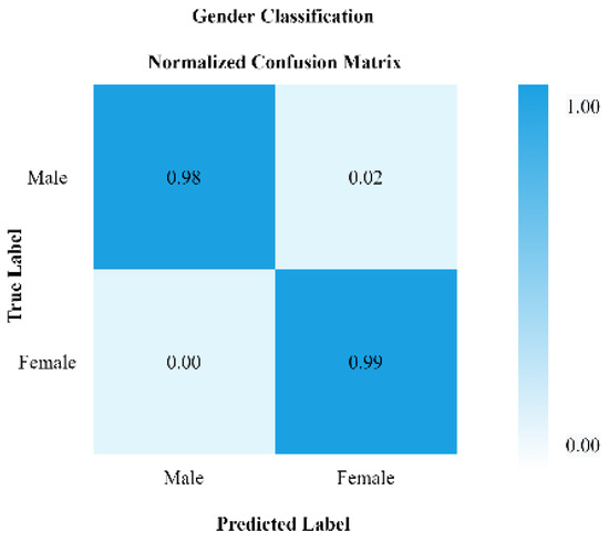 Applied Sciences | Free Full-Text | Classification of Ethnicity Using ...