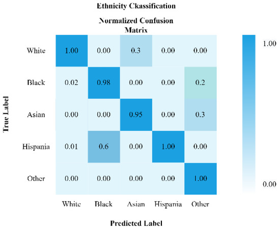Applied Sciences | Free Full-Text | Classification of Ethnicity Using Efficient CNN Models on ...