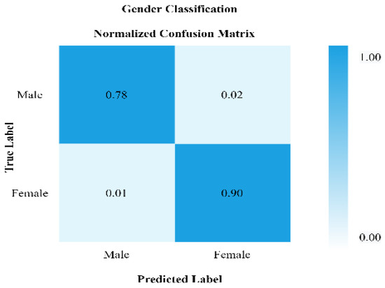 Applied Sciences | Free Full-Text | Classification of Ethnicity Using ...