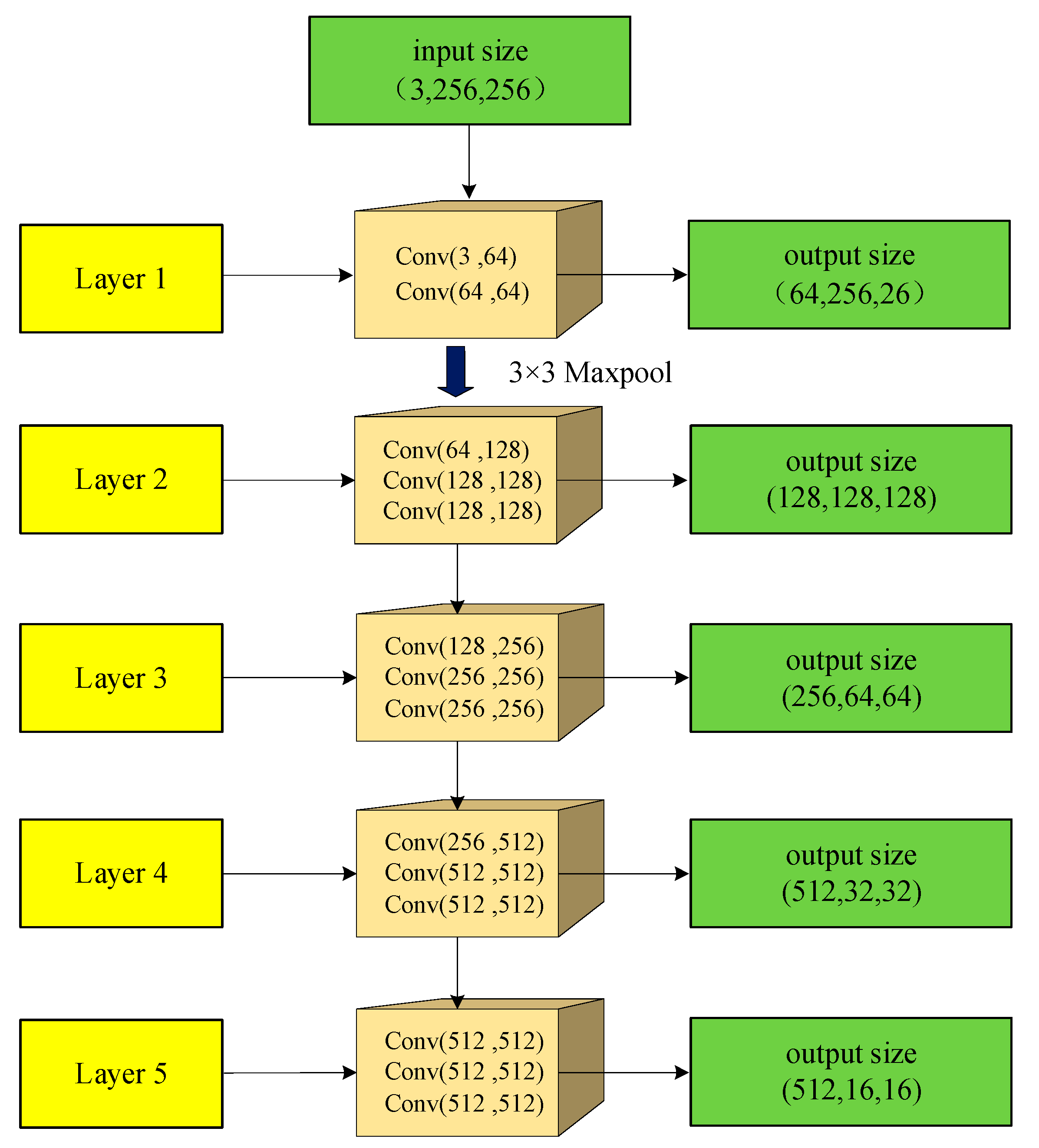 CI-UNet: Application of Segmentation of Medical Images of the Human Torso