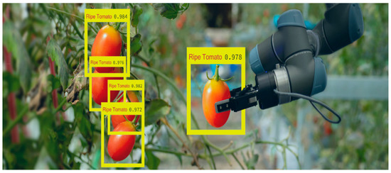 Assessment of Smart Mechatronics Applications in Agriculture: A Review