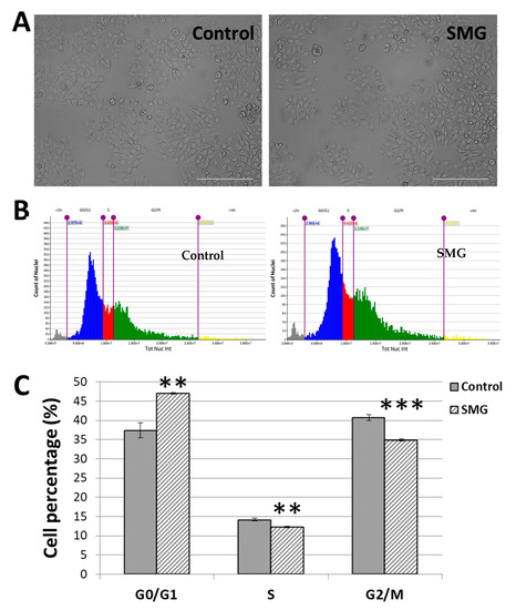 Changes in the Cell Division of Chang Liver Cells Induced by Simulated ...