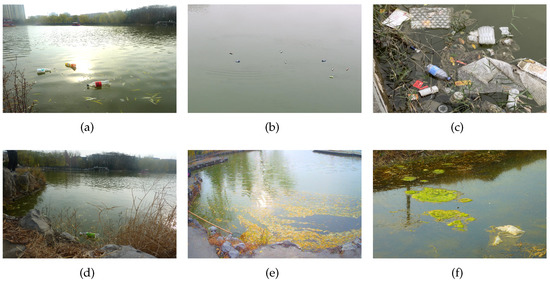 YOLOv5-FF: Detecting Floating Objects on the Surface of Fresh Water Environments