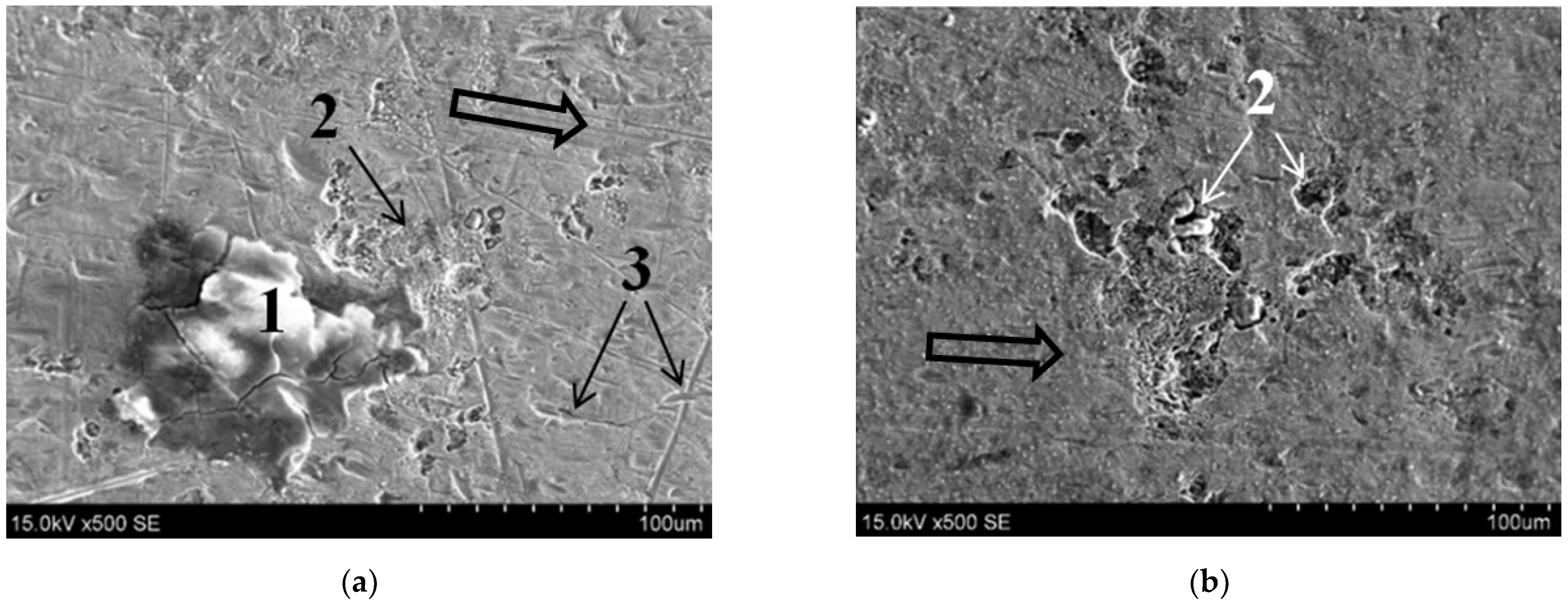 Wear Study of Straw Chopper Knives in Combine Harvesters
