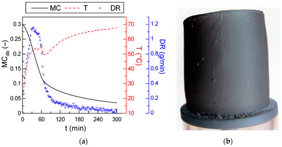 Applied Sciences | Free Full-Text | Convective–Microwave–IR Hybrid ...
