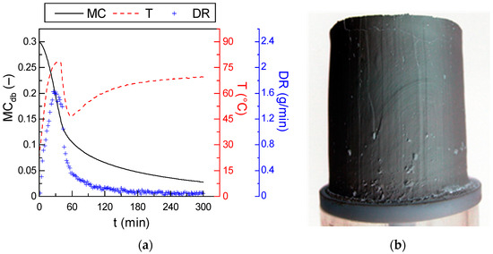 Applied Sciences | Free Full-Text | Convective–Microwave–IR Hybrid ...