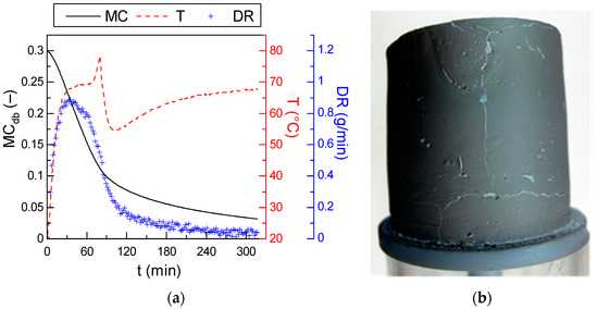 Applied Sciences | Free Full-Text | Convective–Microwave–IR Hybrid ...