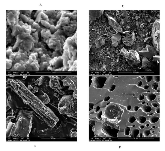 Surface Modification of Tea-Waste-Based Biochar Adsorbent: Synthesis ...