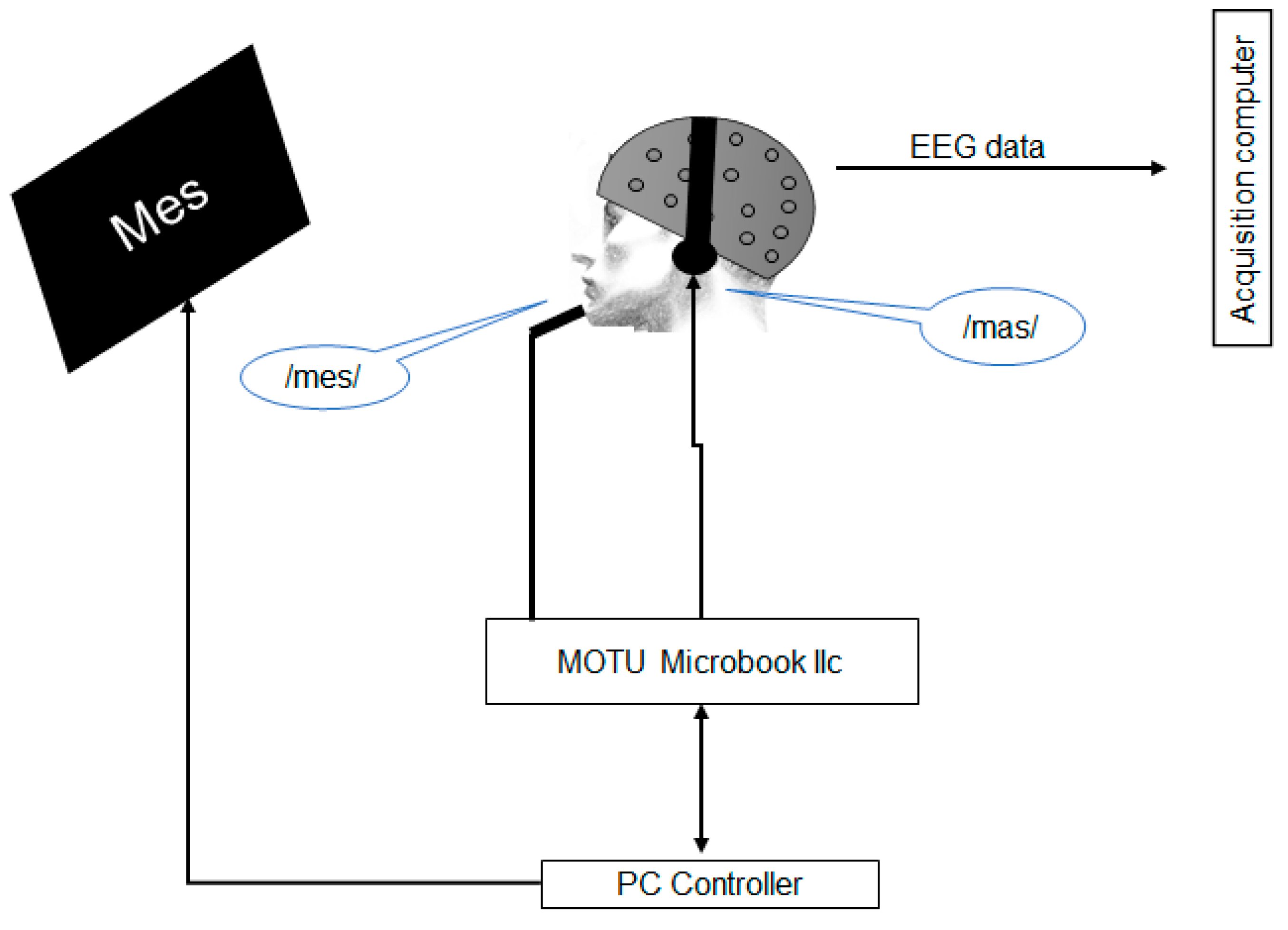 DIVA Meets EEG: Model Validation Using Formant-Shift Reflex