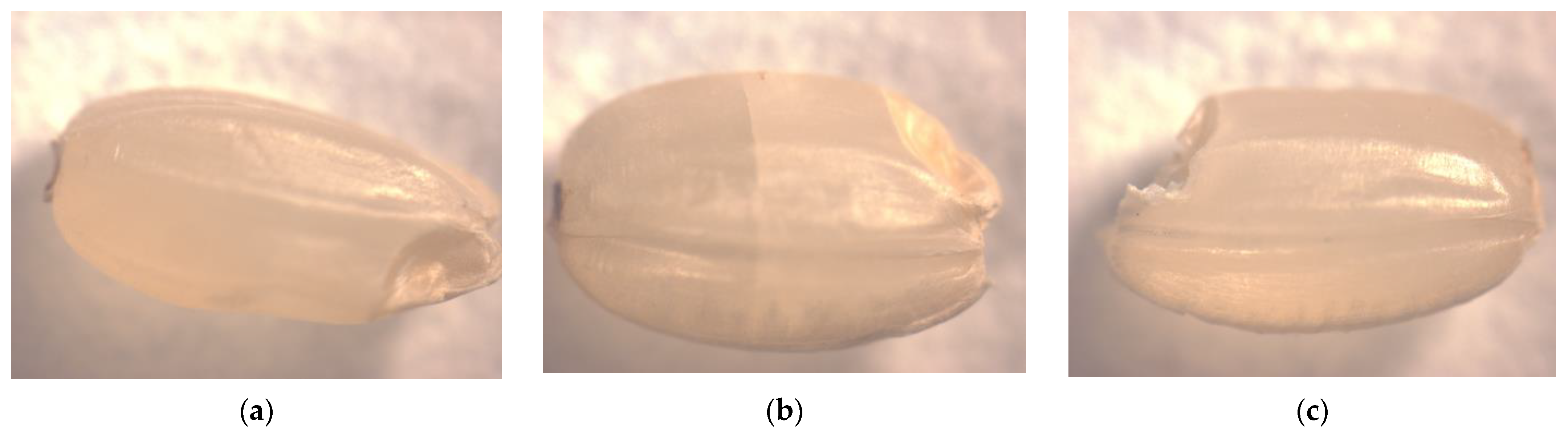 Investigation of a Precise Control Scheme for Rice Quality