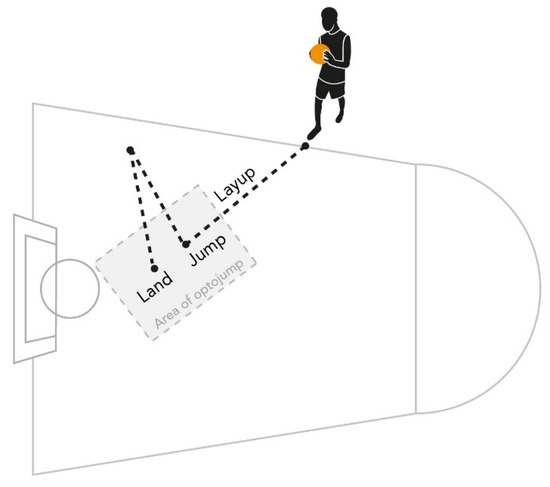 A Unique Specific Jumping Test for Measuring Explosive Power in ...