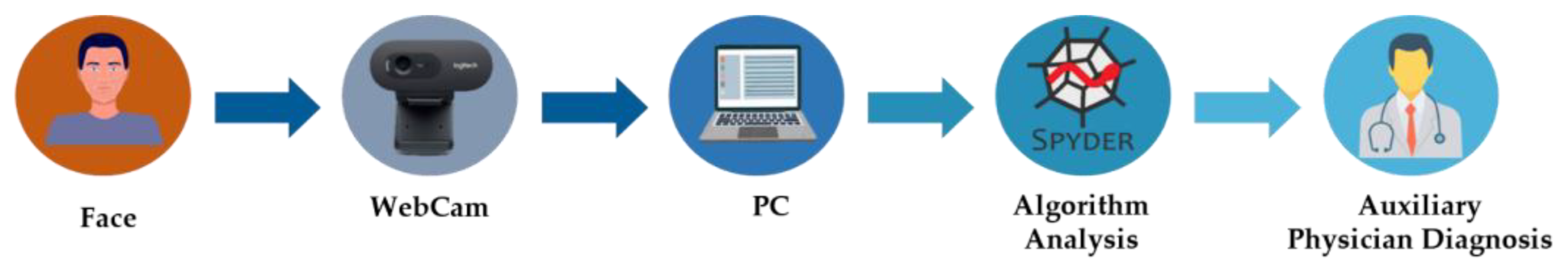 Applied Sciences | Free Full-Text | Estimation of Heart Rate and Heart ...