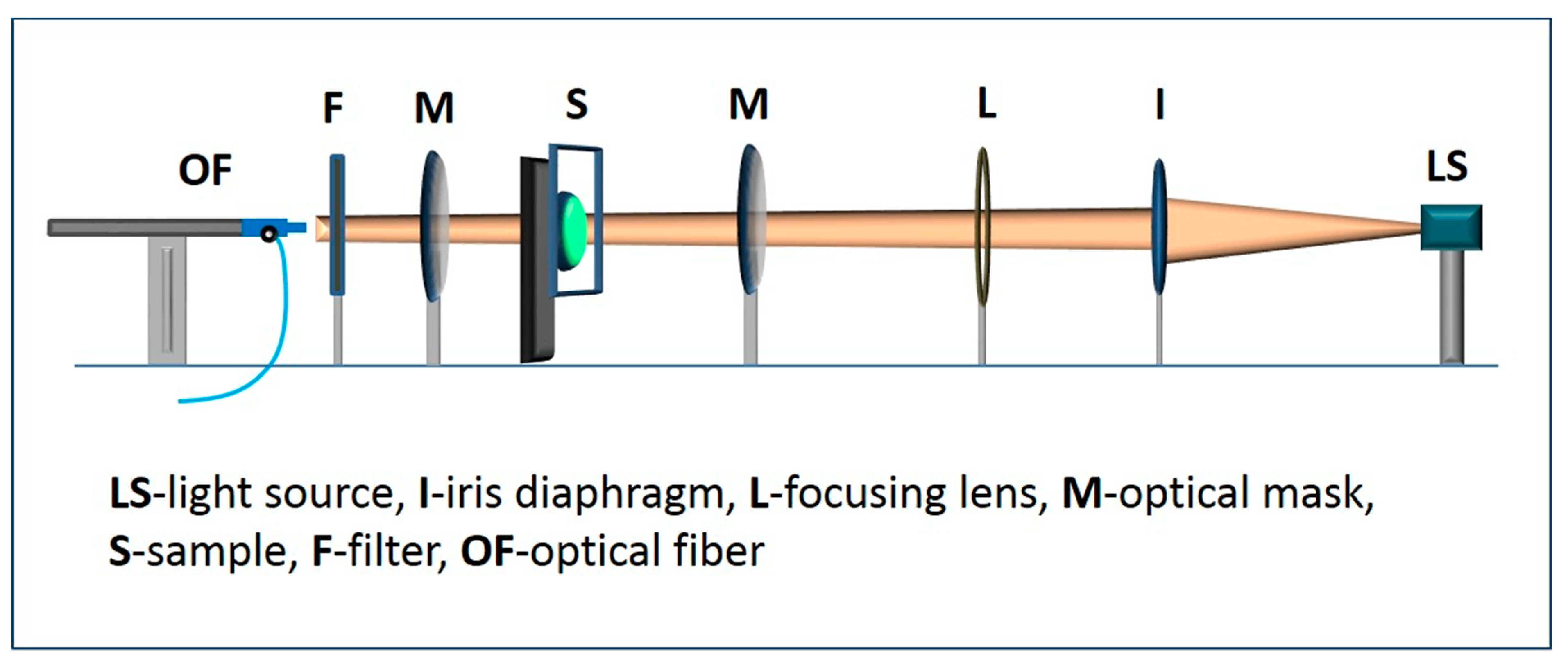 Unleashing the Hidden Potential: The Dynamic Duo of Antimicrobial ...