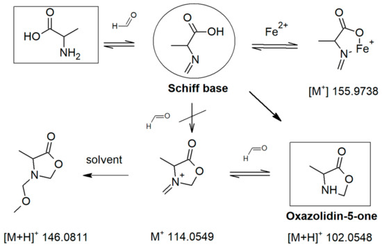 Amino-Acid-Derived Oxazolidin-5-Ones as Chemical Markers for Schiff Base Formation in Glycation ...