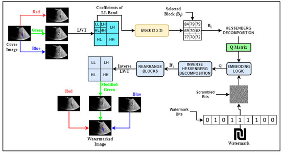 Applied Sciences | Free Full-Text | Robust Medical Image Watermarking Scheme Using PSO, LWT, and ...