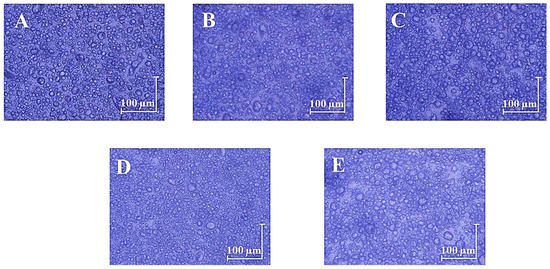 Applied Sciences | Free Full-Text | Incorporation of UV Filters into ...