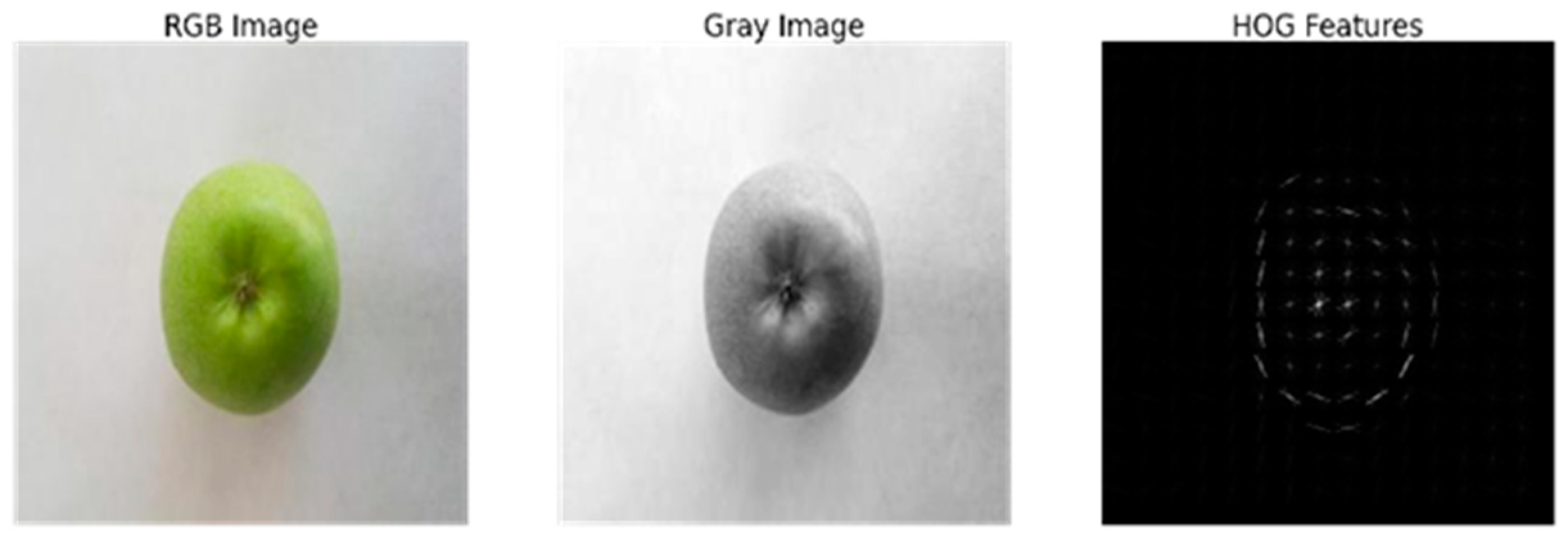 Multiclass Apple Varieties Classification Using Machine Learning with ...