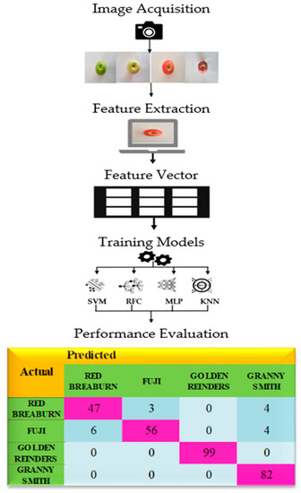 Multiclass Apple Varieties Classification Using Machine Learning with Histogram of Oriented ...