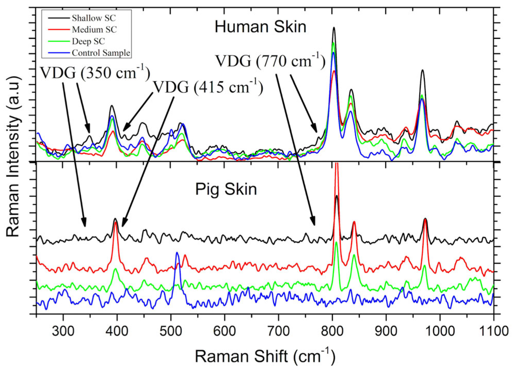 Raman Spectroscopy to Monitor the Delivery of a Nano-Formulation of ...