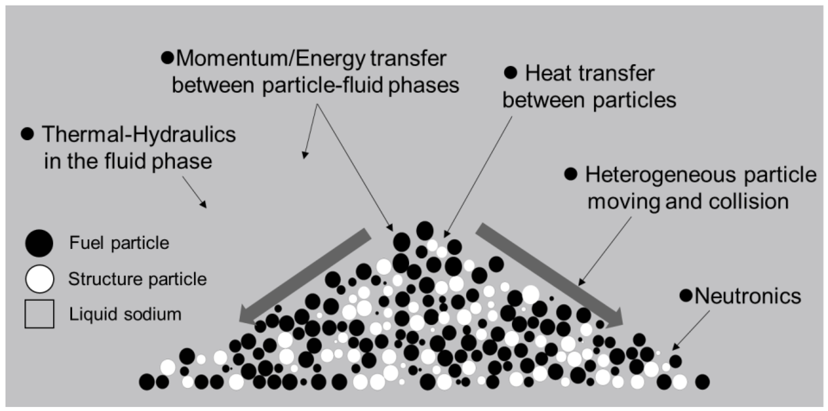 The Development of a Multiphysics Coupled Solver for Studying the ...
