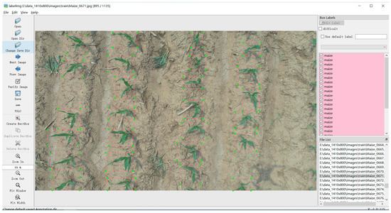 Applied Sciences | Free Full-Text | Study on Lightweight Model of Maize Seedling Object ...