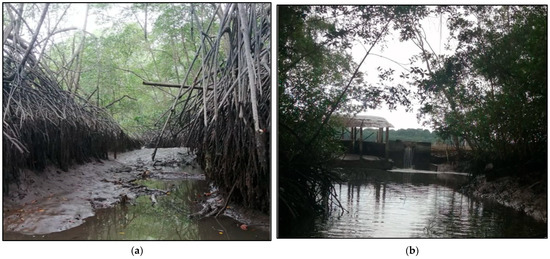 Water and Sediment Quality Changes in Mangrove Systems with Shrimp ...