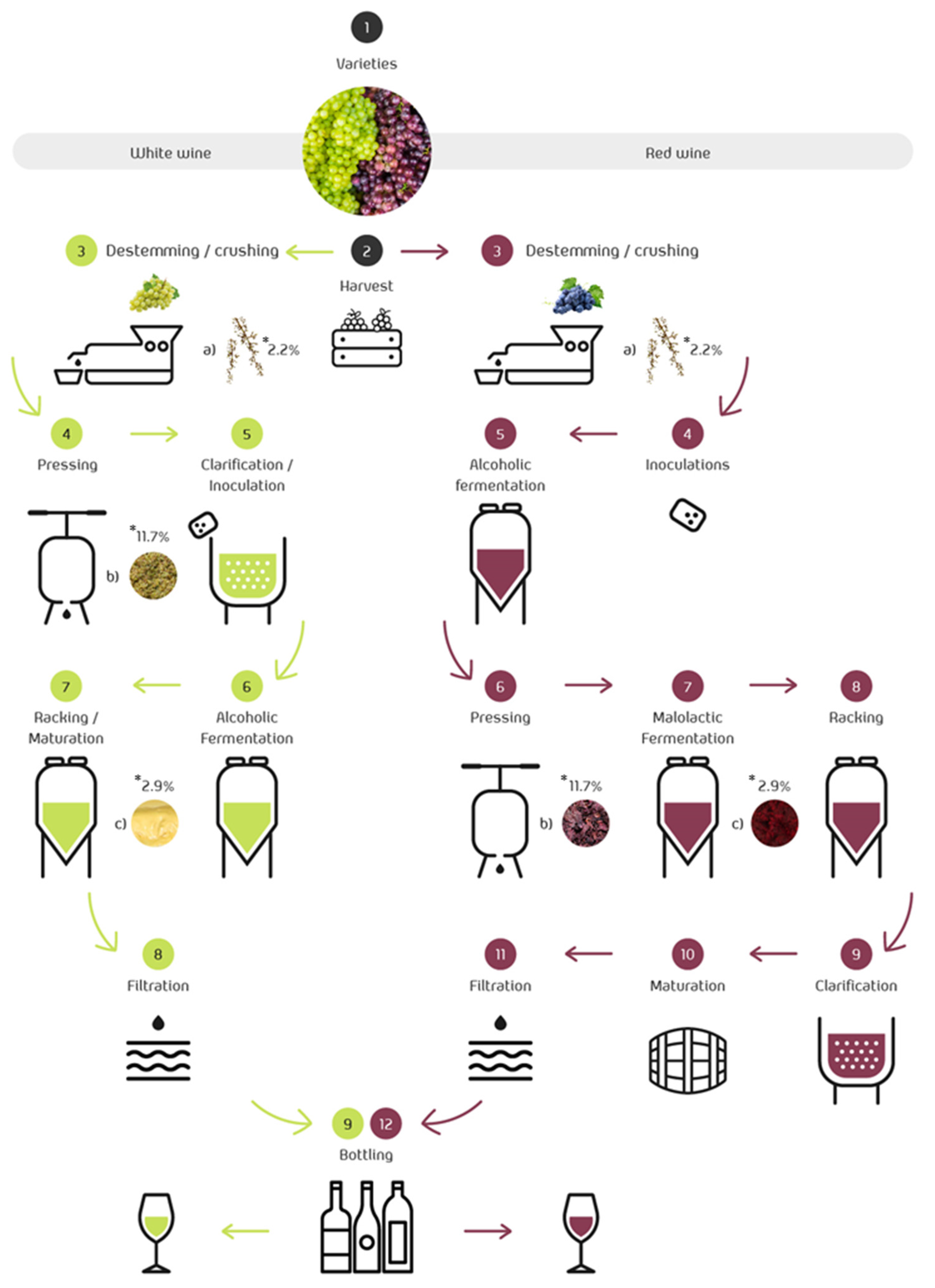 Applied Sciences | Free Full-Text | Potentialities of the Extraction Technologies and Use of ...