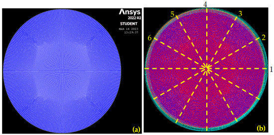 Mechanical Characterization of Soft Membranes with One-Shot Projection ...