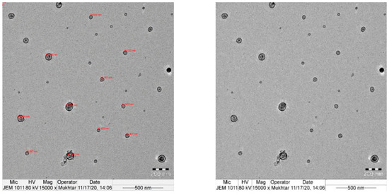 Impact of Nanoparticles from Ball-Milled Date Palm Biochar on the Hydro ...